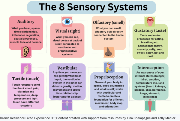 Understanding Sensory Processing: How Senses Shape Our Lives